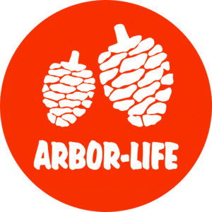 薪の利用 | 緑屋樹木医事務所